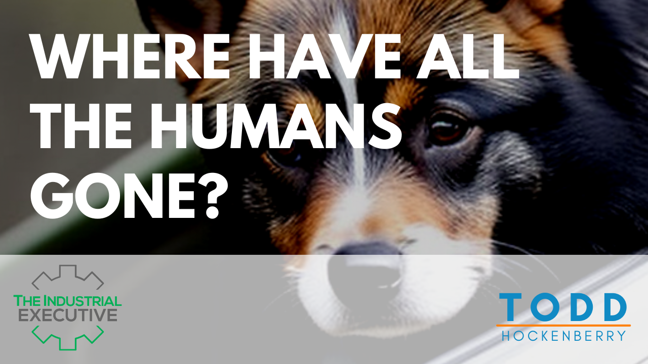 Where have all of the humans gone?